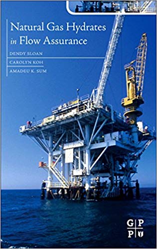 دانلود کتاب Natural Gas Hydrates In Flow Assurance, 2010 - دانلود کتاب ...
